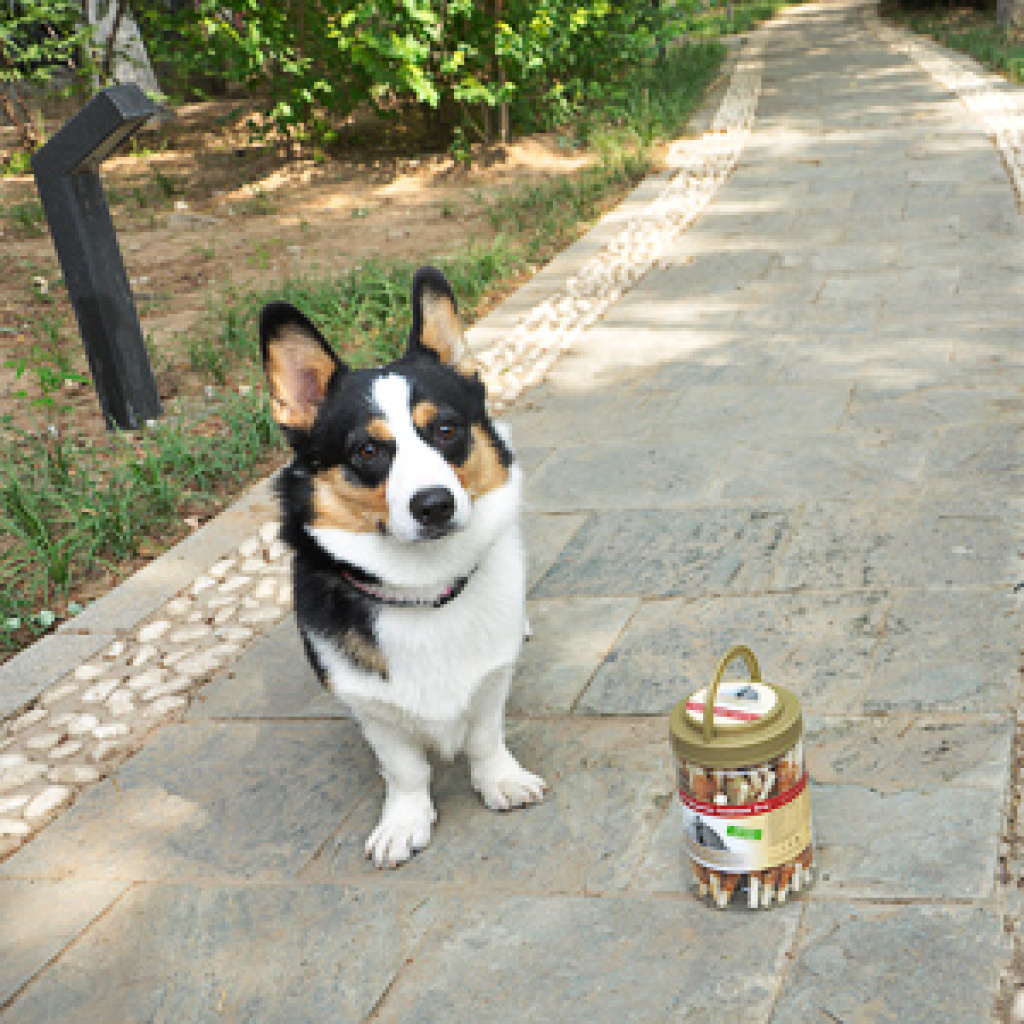 Натурални лакомства за кучета Naturcota - сандвич с пиле и риба, 100гр ...